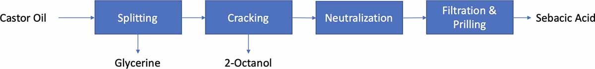 Sebacic Acid and Esters – ICOA